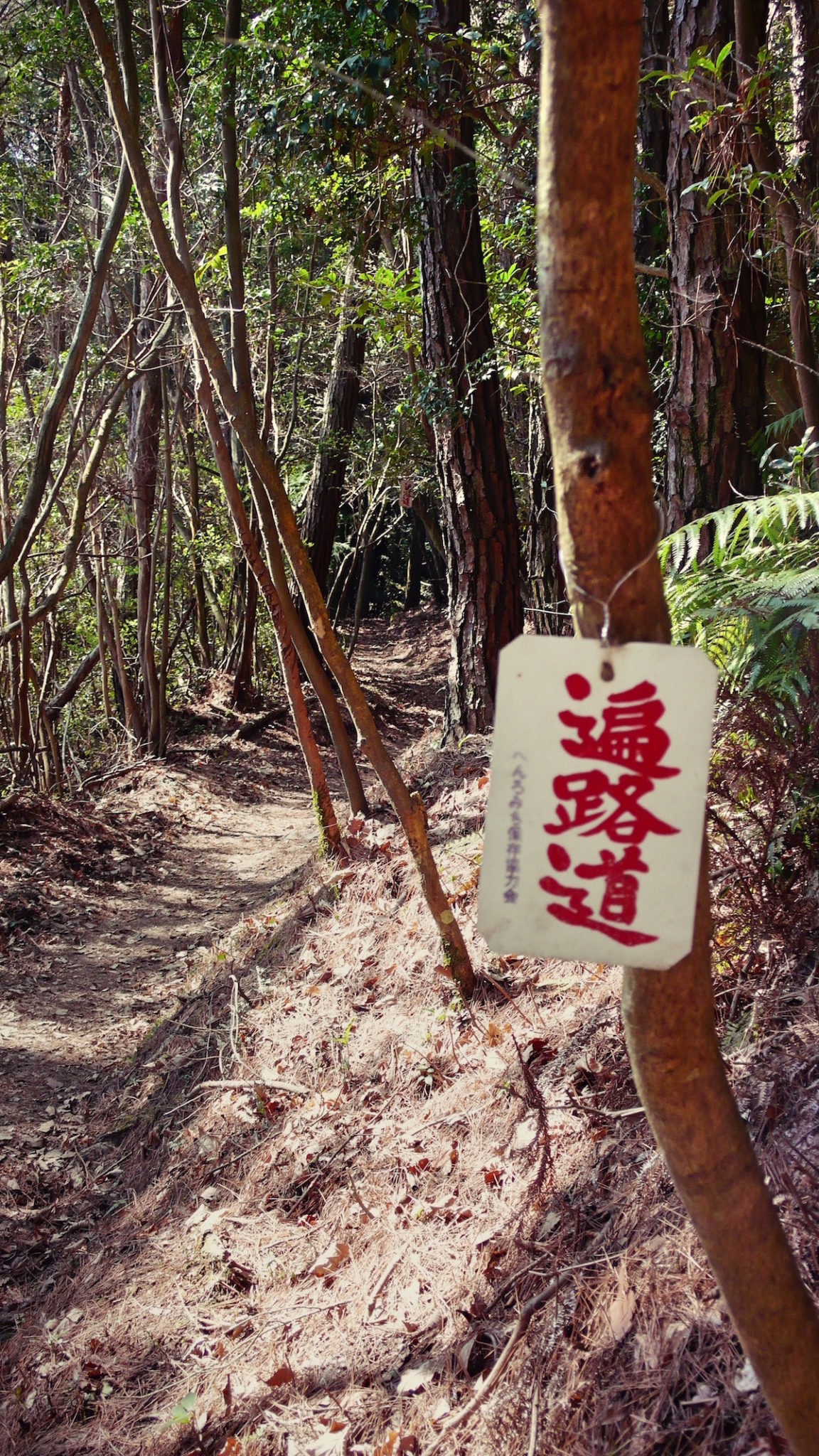 5/30、31《遍路》電子書限時免費領取！以及這活動背後的心碎故事⋯⋯ - Readmoo閱讀最前線Readmoo閱讀最前線