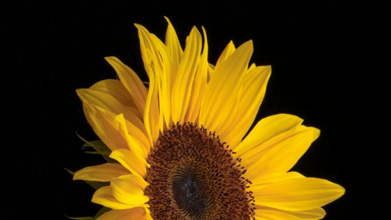 【布克新聞】S5EP04：318十週年，當事者與局外人的學運 - Readmoo閱讀最前線